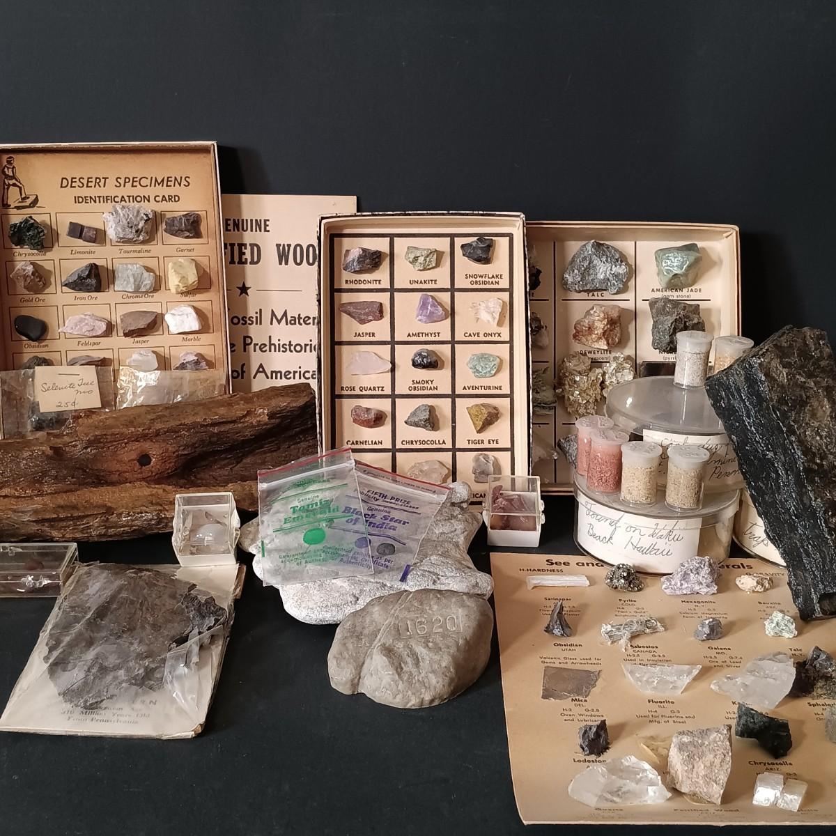 LOT 171: Large Assortment of Rocks and Fossils | EstateSales.org