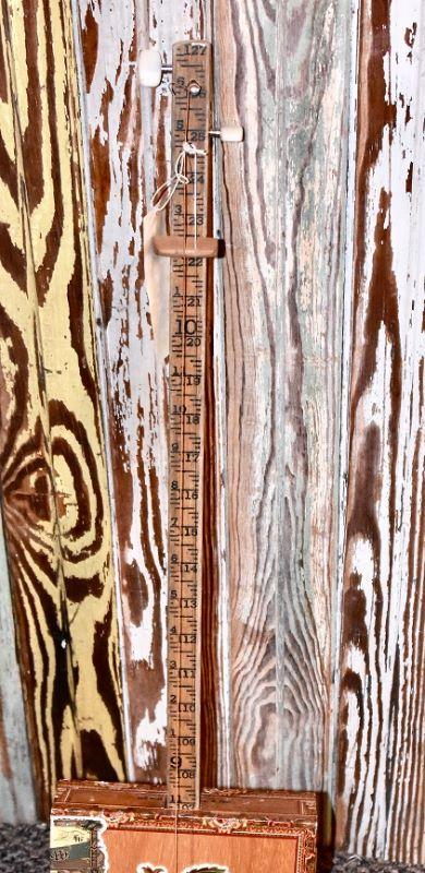Hand Crafted 2-String Cigar Box Banjo by Brittain Woodworks of Mills ...